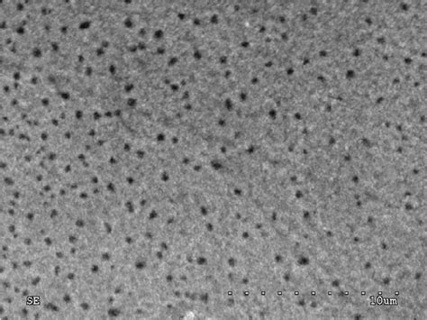 Sem Image Of Double Layer Tio 2 Coating Burnt Out At 800oc
