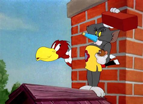 Tomi Da Jeri 4 Youtube