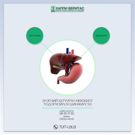 Элэгний хатуурал өөхжилт 【happy Veritas】ЭЛЭГНИЙ ТӨВ Лаборатори ЯПОН Монгол Хамтарсан Эмнэлэг