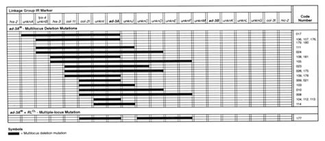 Complementation Map Of X Ray Induced Multilocus Deletion Mutations Of