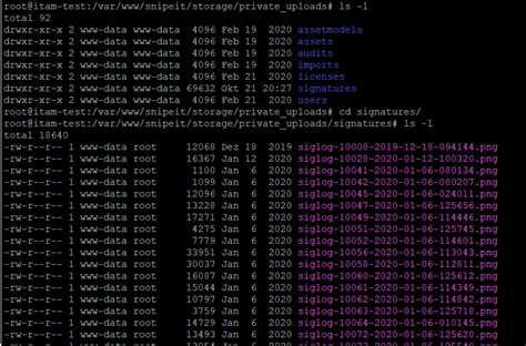 Signatures Missing After Upgrade To V5 · Issue 8545 · Snipesnipe It