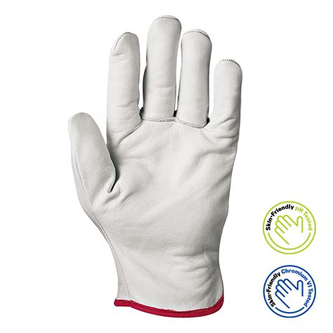 Cipro Glove Sir Safety System