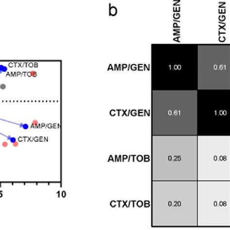 Correlation Analysis Of The Interaction Profiles Between All Antibiotic