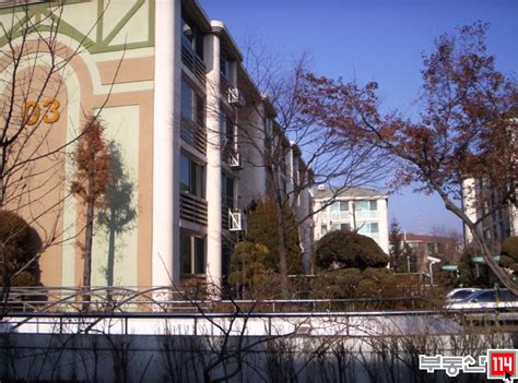 부동산114 아파트 밤가시건영빌라2단지 205동 매매 희망가격 38000만원