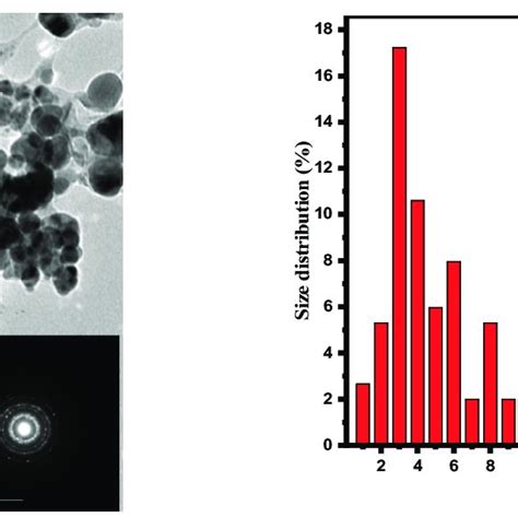 A Tem B Size Distribution Histogram Of Ca Agnps Download