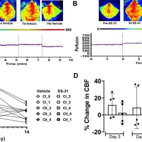 mitochondrial dysfunction pathway qiagen ingenuity pathway analysis