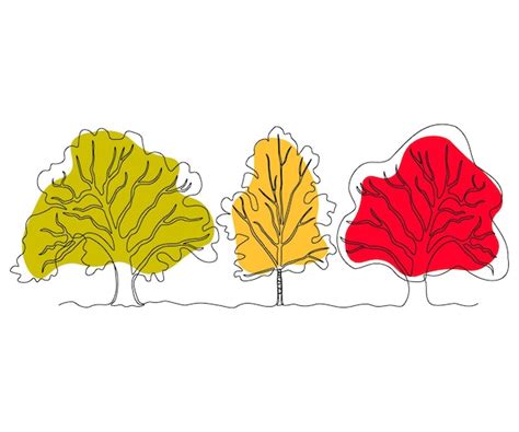Premium Vector Sprawling Branching Three Trees In Row Forest Of Oak