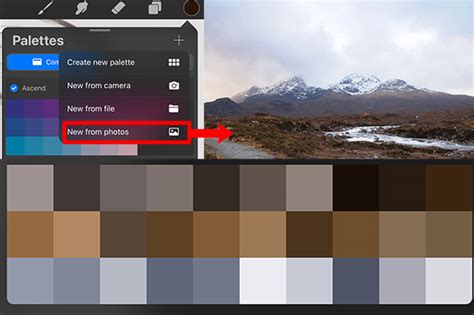 Procreate Tips Tricks For Beginners Draw