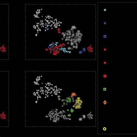 visualization of o edulis shell groups partitioning using t sne