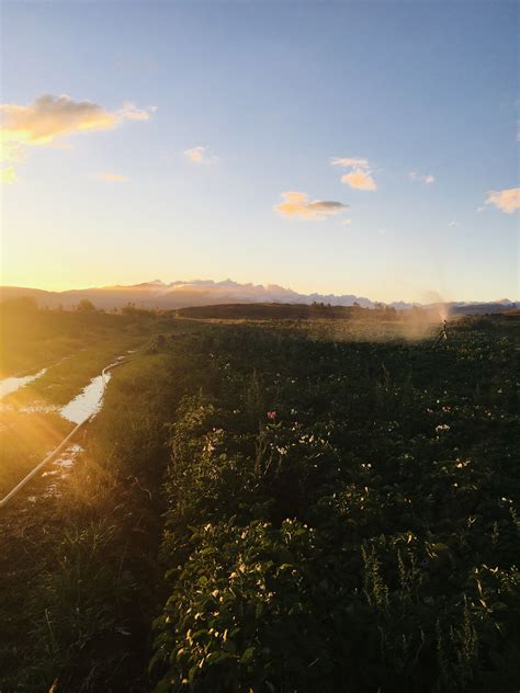 მსოფლიოს გარემო ფოტო