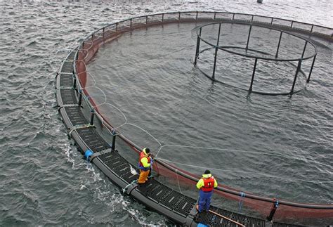 Why Marine VHF Radios Are Important for The Aquaculture Sector: Why ...
