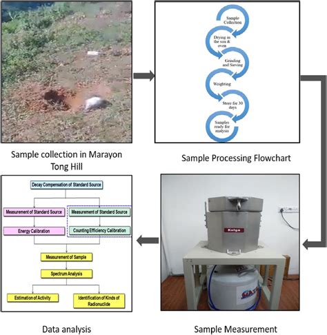 Diagrammatic Block Representing The Several Phases Of The Gamma Ray Download Scientific Diagram