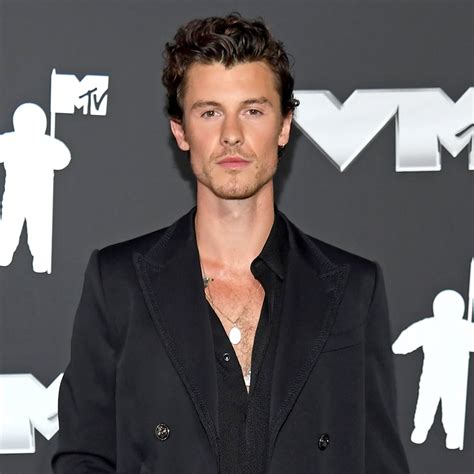 Shawn Mendes Has Photos Of David Beckham Brad Pitt On His Phone