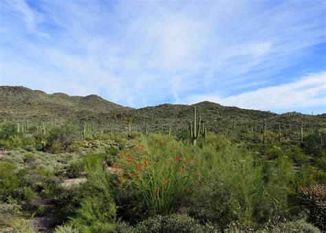Cave Creek Regional Park Cc Maricopa County Parks And Recreation