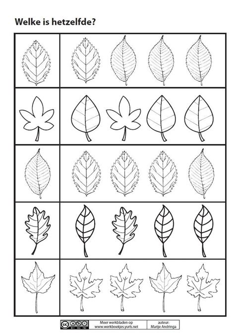 Игри за зрително Бъбривко Логопедична занимателница