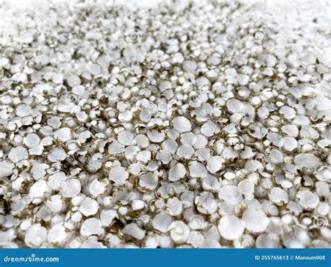 Dirty Foam Texture Stock Image Image Of Grunge Ground 255765613