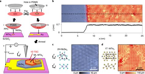 Proximity Induced Superconducting Gap In The Quantum Spin Hall Edge State Of Monolayer Wte2