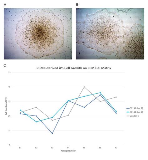 Ecm Gel Matrix Protocols Using Ehs Basement Membrane Extracts