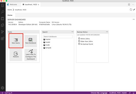Azure Data Studio Connect To Docker Sql Server Modelssubtitle