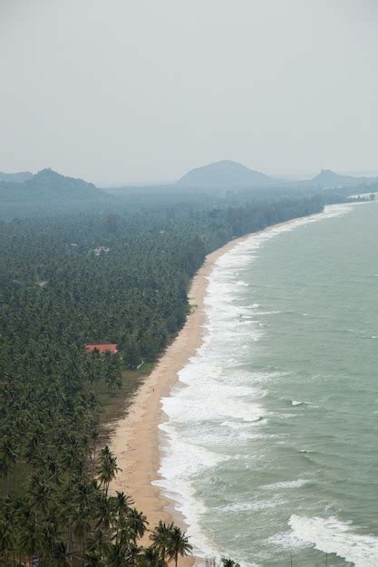 Premium Photo Beach And Tree