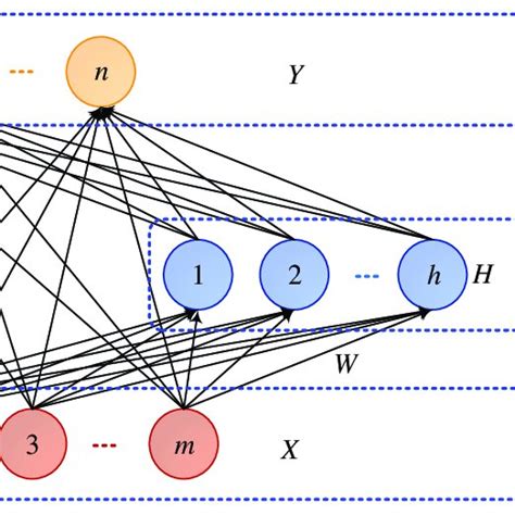 functional link neural network structure diagram download scientific