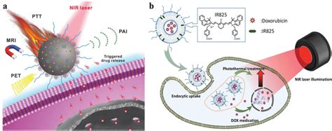 Nir‐triggered Photothermal Therapy A Schematic Of Download
