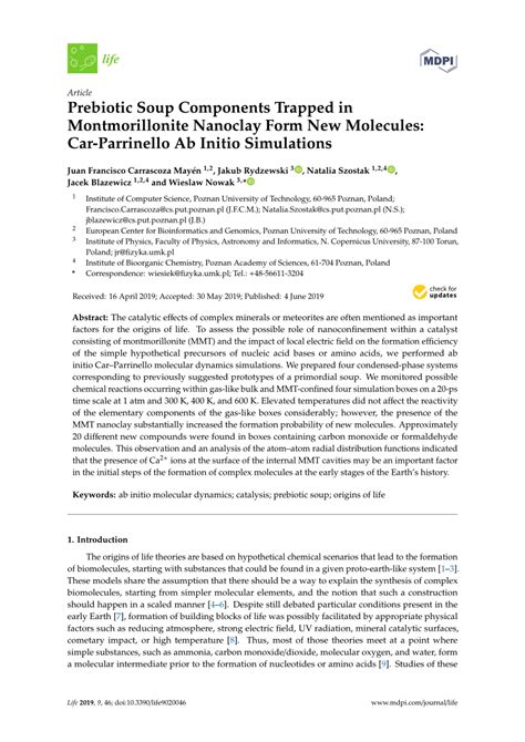 pdf prebiotic soup components trapped in montmorillonite nanoclay