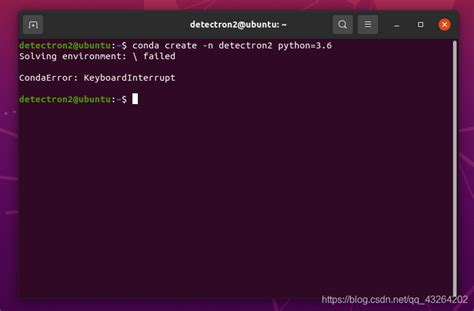 从虚拟机到深度学习三：Ubuntu20.04安装pytorch以及detectron2环境_detectron虚拟环境下如何安装pytorch ...