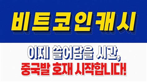 비트토렌트 이번 조정 끝나면 중국계 코인 순환매 시작입니다 조정이 아니라 바겐세일타임 Youtube