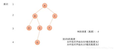【数据结构初稿】树和二叉树总结——基本知识要点汇总2叉树的英语 Csdn博客