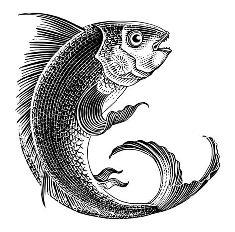 Fish Sketch Vector Art Icons And Graphics For Free Download