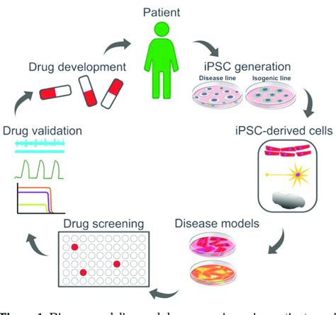 Disease Modeling And Drug Screening Using Patient Specific Induced Download Scientific Diagram