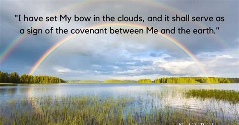 Our Rainbow Rnoahide