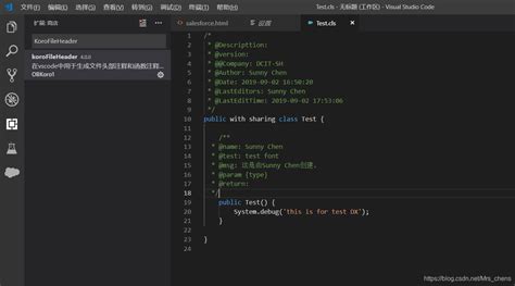 Vscode系列：vscode自动生成文件头部注释和函数注释！vscode自动创建文件描述 Csdn博客