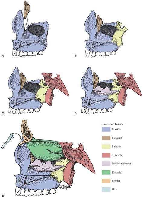 Perpendicular Plate Clipart 20 Free Cliparts Download Images On