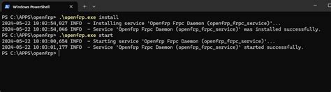 frpc的开机自启相关 openfrp docs