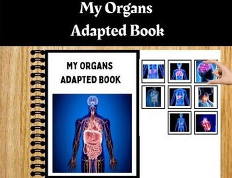 Interactive Science Book Set Pre K Kindergarten Homeschool Etsy