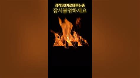 장작 30키로 태우며 불멍 스타렉스차박 애견동반차박 노지차박 Camping 불멍 몽벨화로대 이중연소화로대 Youtube