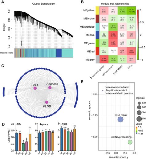 Identification Of Hub Genes Participated In Gynogenesis By Wgcna A Download Scientific Diagram