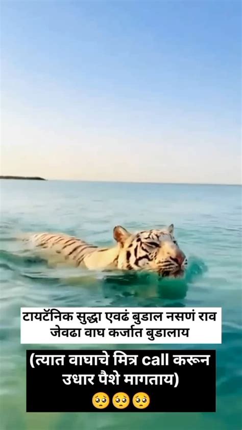 Share करा खुश करा 😂↗️ नवीन पोस्ट साठी फॉलो करा 👇🏻👇🏼👇🏿👇 Chavat Tatya