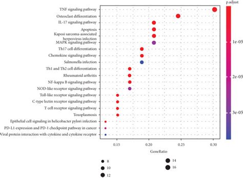 go and kegg enrichment analysis results a ppi networks for common