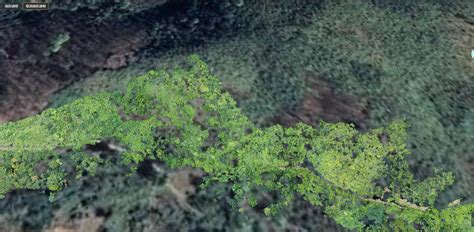 cesium terrain transparency programmer sought