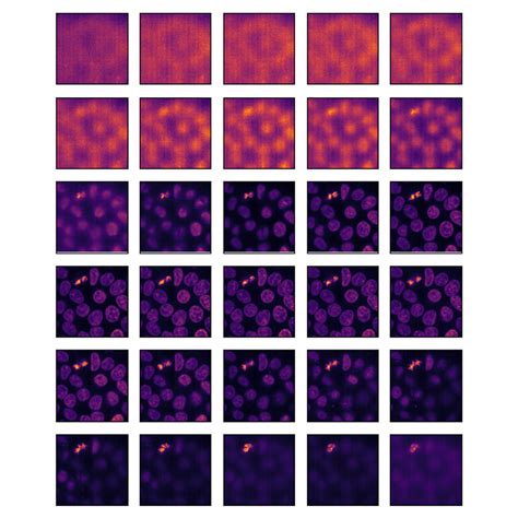 Example Gallery — Seaborn Image Documentation