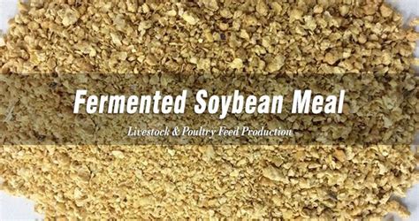 Fermented Soybean Meal In Poultry Feed Making Process