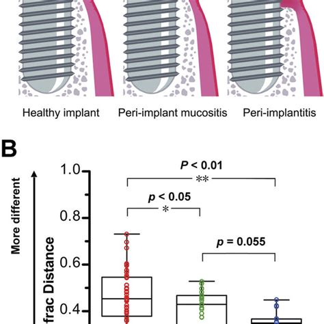 Sample Collection And Microbial Community Variation Within Groups A