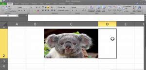 How To Insert Animated GIF Images In Excel