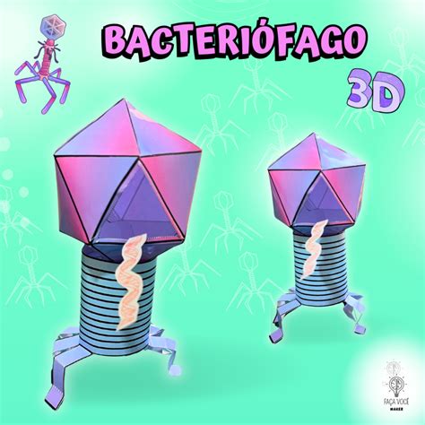 Bacteriófago 3d Faça Você Maker