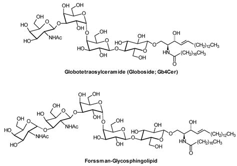 Glycosphingolipid Structure