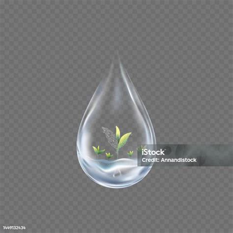 투명한 배경에 깨끗한 물 아래에서 성장하는 식물이 있는 3d 물방울 벡터 격리 투명도 단일 파란색 반짝이는 어린 나무와 함께 빗방울 생태학 및 세계 물의 날을 위한 요소