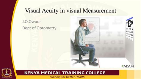 SOLUTION Visual Acuity In Visual Measurement Ppt Studypool